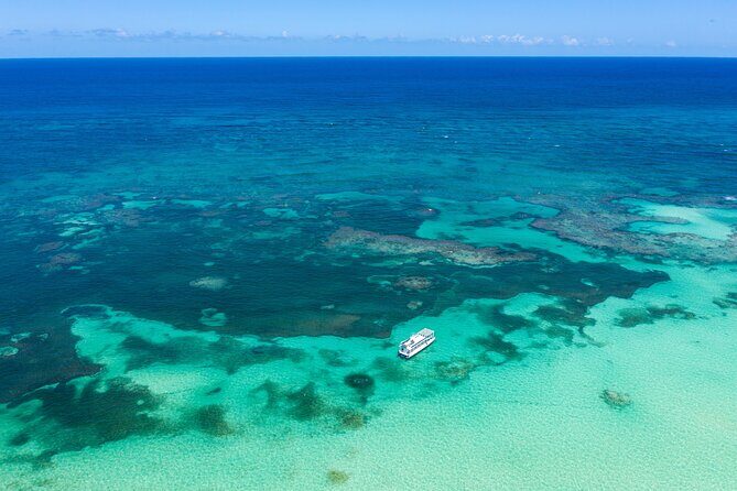 Coral Snorkeling Private Tour in Punta Cana with Seafood Lunch - Secluded Beach and Coconut Cocktails