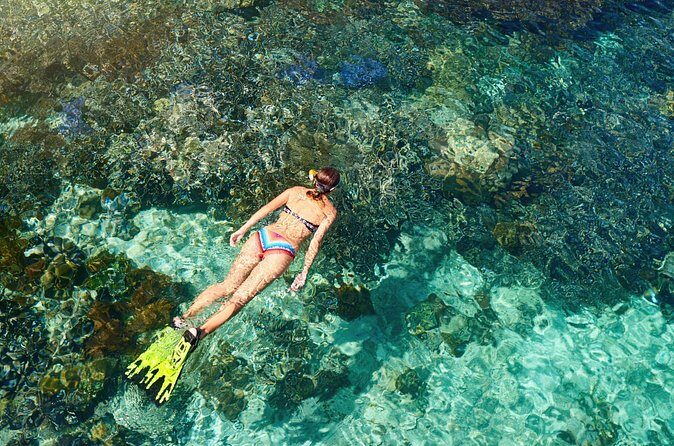 Coral Snorkeling Private Tour in Punta Cana with Seafood Lunch - Exploring Punta de los Nidos and Natural Pools