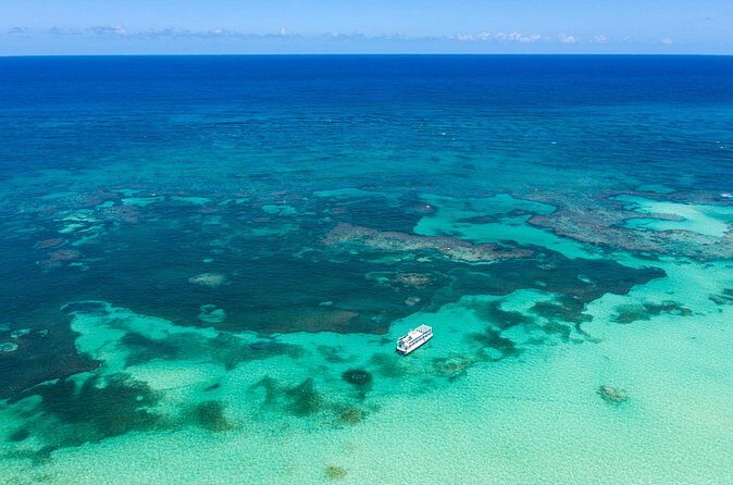 Coral Snorkeling Private Tour in Punta Cana with Seafood Lunch - Cost and Value Analysis