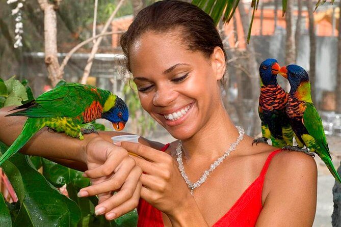 Coral World Ocean Park General Admission Ticket - The Sum Up: Who Is Coral World Ocean Park Best For?