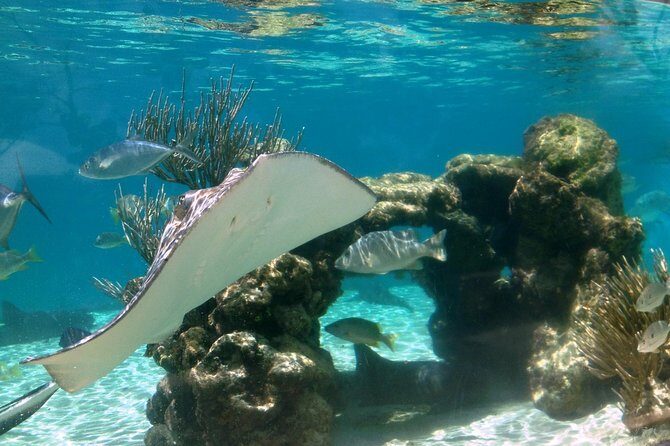 Coral World Ocean Park General Admission Ticket - FAQ: Your Practical Questions Answered