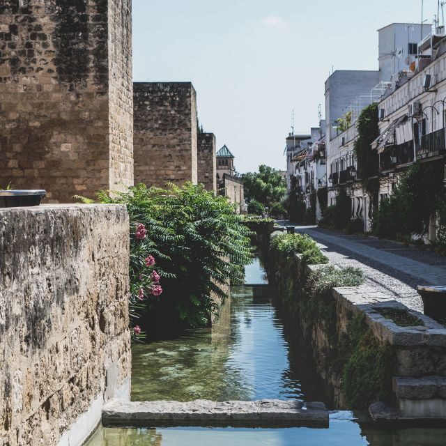 Cordoba: 3-Hour Private Walking Tour - Final Thoughts
