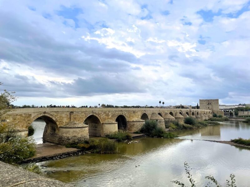Cordoba: City Highlights Private Walking Tour - Key Points