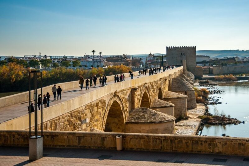 Córdoba: City Sightseeing Hop-On Hop-Off Bus Tour - Who Should Consider This Tour?