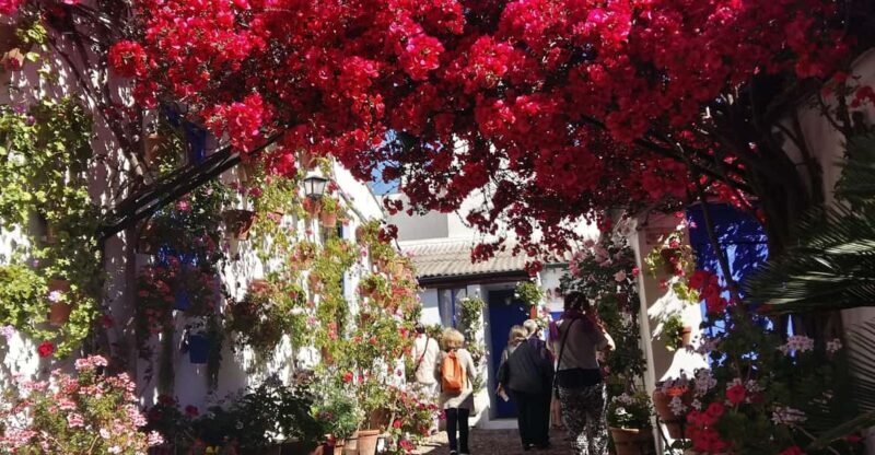 Cordoba Courtyards by Bike, Electric Bike - Key Points