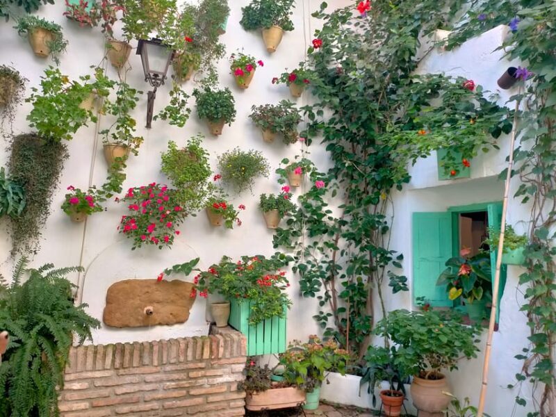 Cordoba Courtyards by Bike, Electric Bike - The Itinerary: What to Expect
