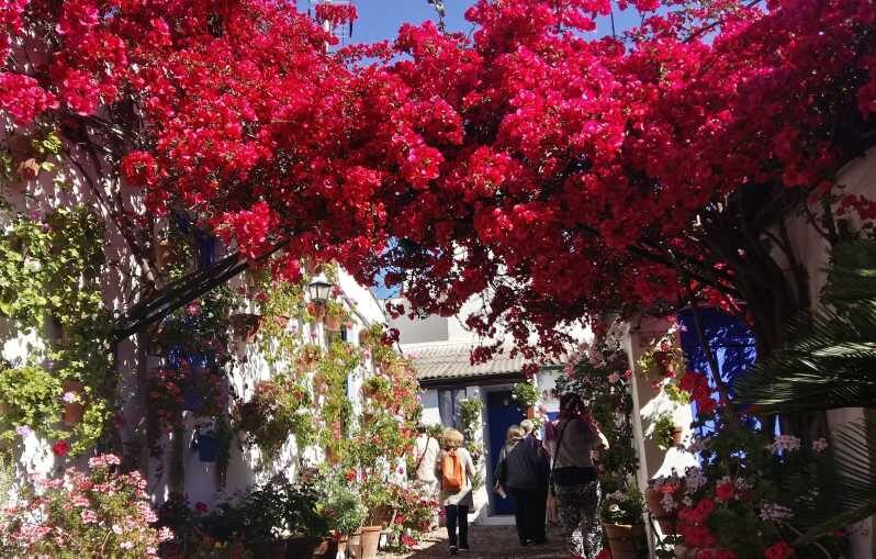 Cordoba Courtyards by Bike, Electric Bike - The Ride: Electric or Classic Bikes