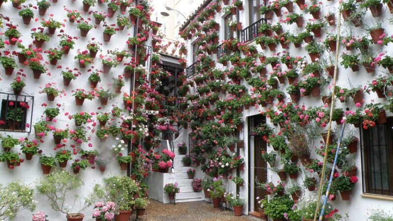 Cordoba Courtyards by Bike, Electric Bike - Guided Expertise & Personal Touch