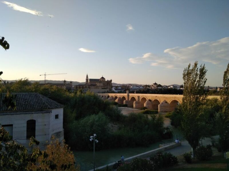 Córdoba Daily Highlights Bike Tour - The Experience of Cycling in Córdoba