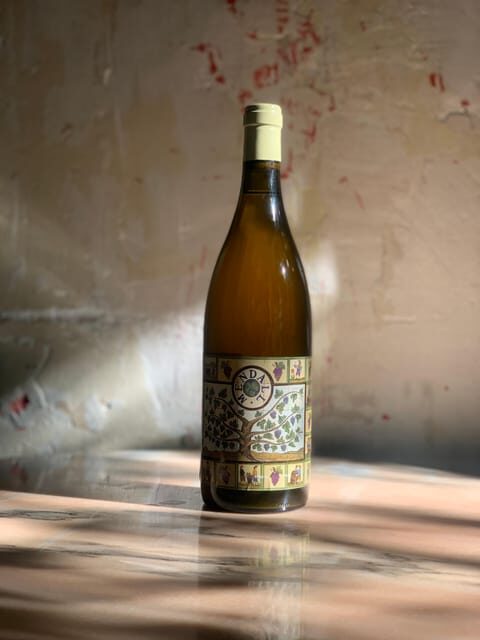 Córdoba: Discover the Soul of Spanish Natural Wine & Cuisine - Córdoba: Discover the Soul of Spanish Natural Wine & Cuisine