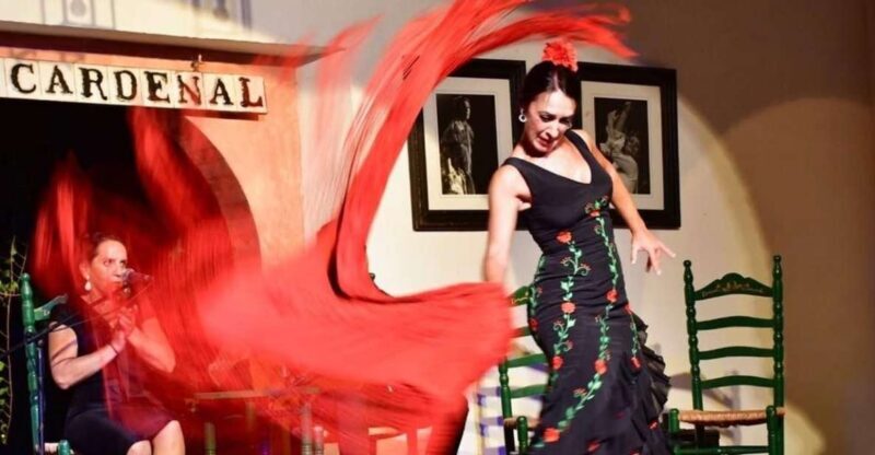 Córdoba: Flamenco Show Ticket with Drinks - Why This Flamenco Show Stands Out