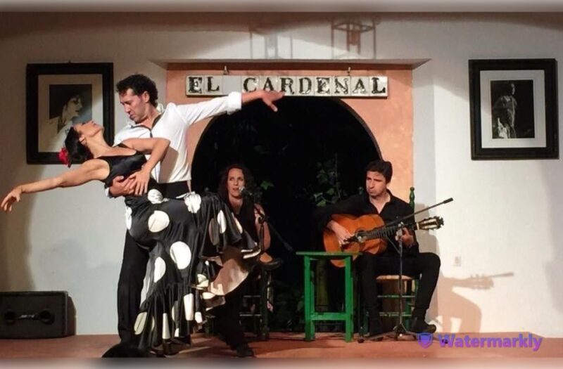 Córdoba: Flamenco Show Ticket with Drinks - Accessibility and Practical Info