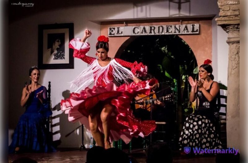 Córdoba: Flamenco Show Ticket with Drinks - Final Thoughts