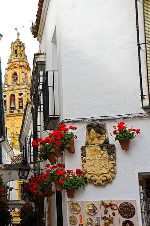 Cordoba Guided Day Trip from Seville - A Closer Look at the Experience