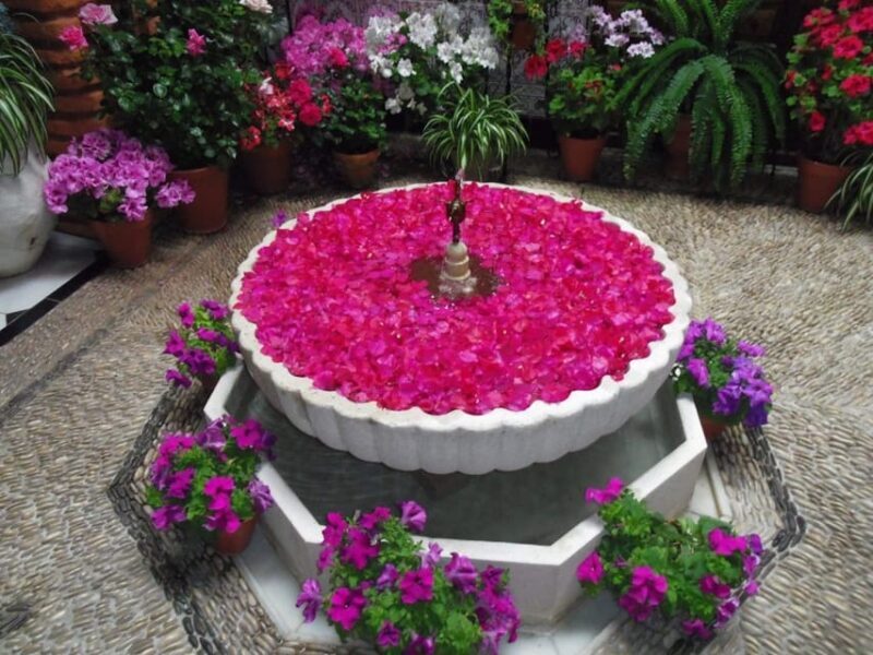 Cordoba Guided Day Trip from Seville - FAQ