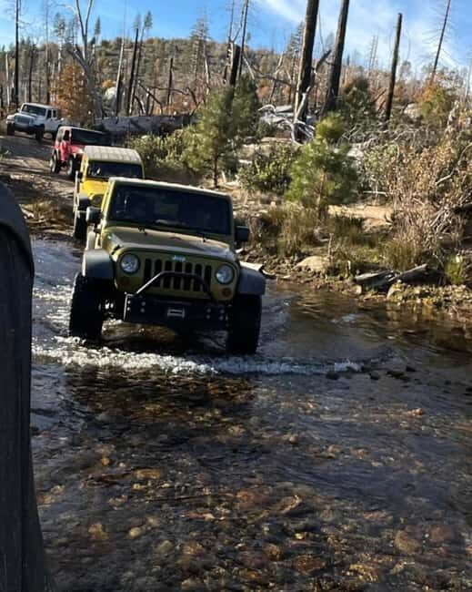 Cordoba: Guided Jeep Tour in Stanislaus National Forest - What to Expect on This Jeep Adventure
