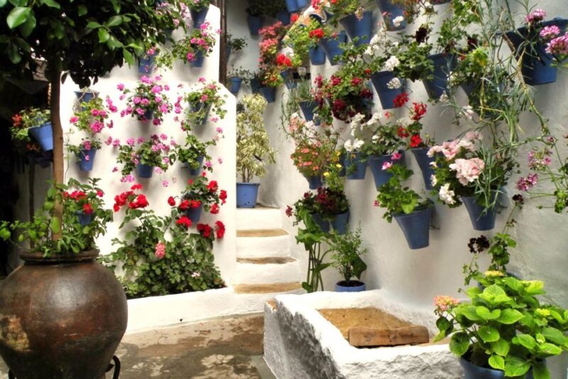 Córdoba: Guided Tour of the Patios - What’s Included and How It Works