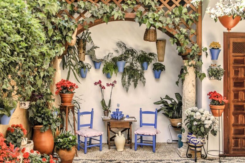 Córdoba: Guided Tour of the Patios - The Value of the Tour