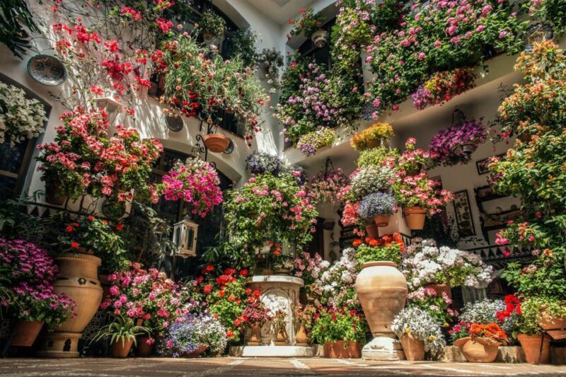 Córdoba: Guided Tour of the Patios - Who Should Consider This Tour?