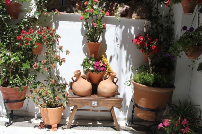 Cordoba Highlights Full-Day Tour from Granada - Key Points
