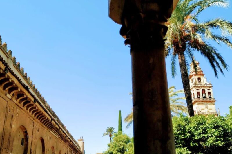 Cordoba Highlights Full-Day Tour from Granada - A Close Look at the Itinerary: What You Can Expect