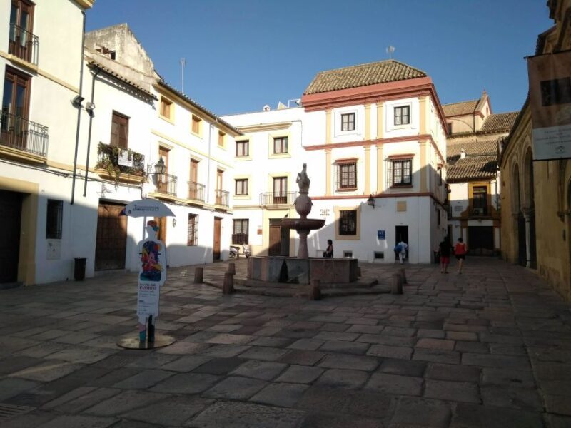 Córdoba Highlights Walking Tour - What Travelers Say: Authentic Feedback