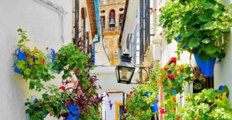 Cordoba: Historical Monuments of Cordoba City Walking Tour - A Detailed Look at the Tour Experience