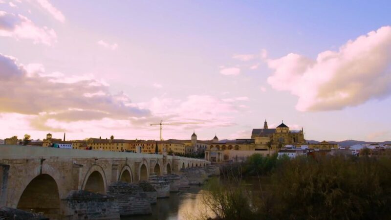 Cordoba: Historical Monuments of Cordoba City Walking Tour - What the Reviews Say