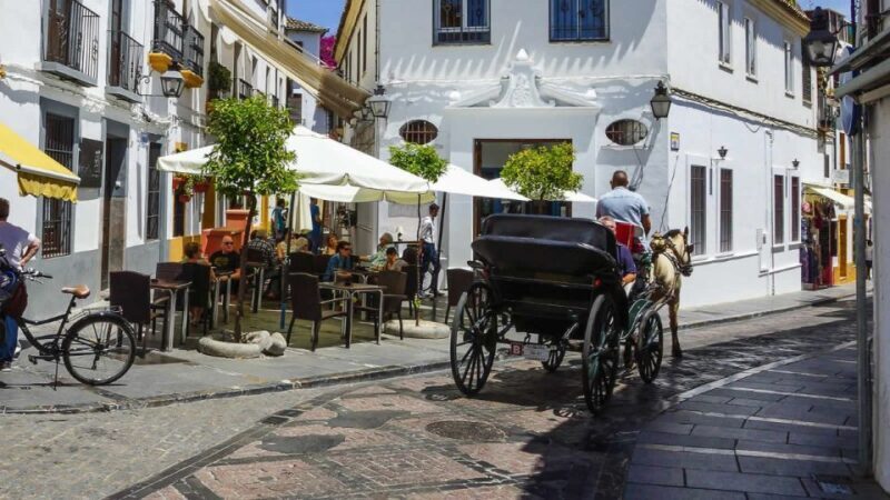 Cordoba: Historical Monuments of Cordoba City Walking Tour - Final Thoughts