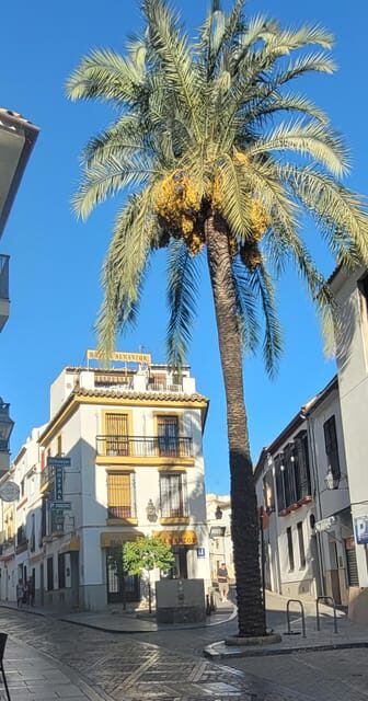 Córdoba Mid-Morning Walk - Small Groups, Native English. - Return to Plaza de las Tendillas