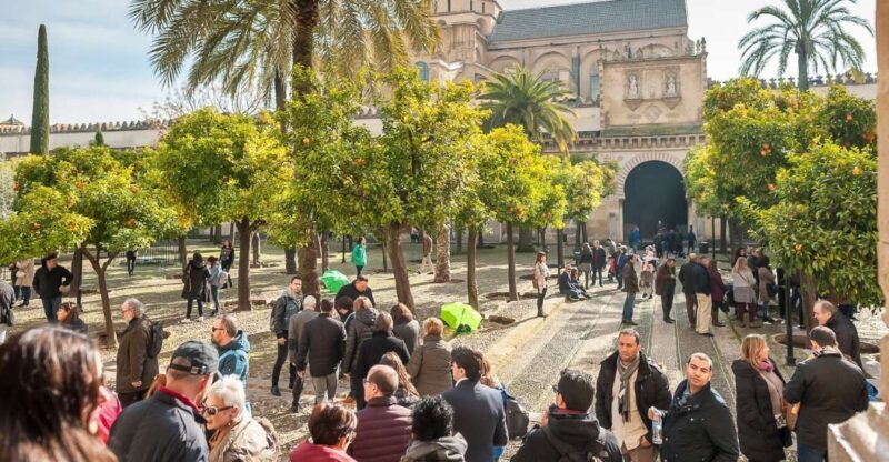 Cordoba: Monuments Walking Tour - What to Expect and Practical Tips