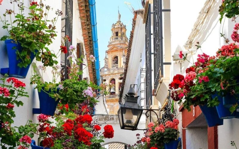 Córdoba: Mosque and Alcazar Private Tour with tickets - Practical Considerations