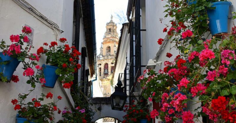 Córdoba: Mosque-Cathedral of Cordoba Private Walking Tour - An Introduction to the Mosque-Cathedral of Córdoba