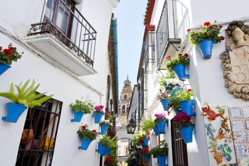 Cordoba Mosque & Jewish Quarter Tour with Tickets - Key Points