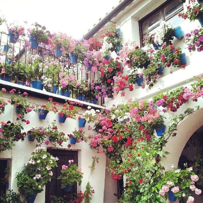 Córdoba Patio Competition: A unique experience of flowers and tradition. - Final Thoughts