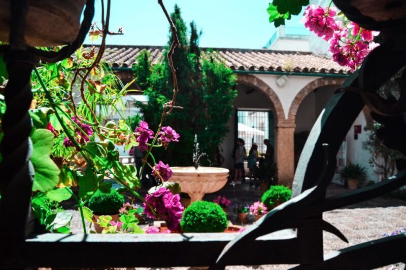 Cordoba: Patios and Viana Palace Tour - What to Expect on the Tour
