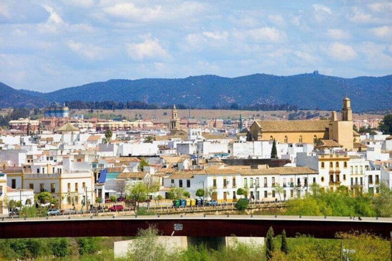 Cordoba : Patios Private Walking Tour - Key Points