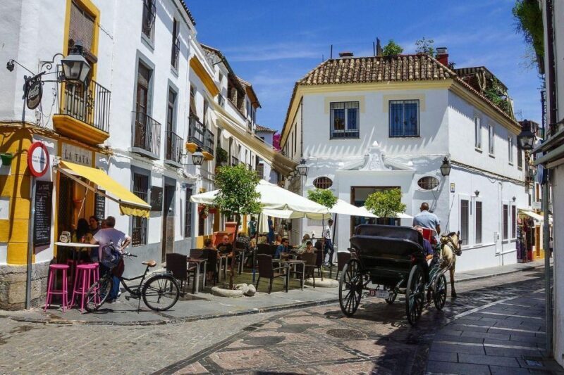 Cordoba Private Guided Walking Tour - Visiting the Alcázar de los Reyes Cristianos