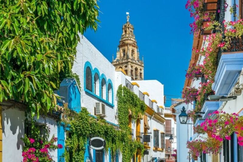 Córdoba: Private Mosque-Cathedral and City Tour - Price and Value