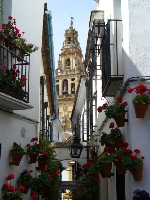 Cordoba - Private Tour including visit to the Fortress - An Engaging Introduction to Cordoba’s Wonders
