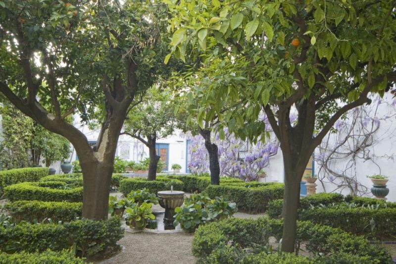 Córdoba: Viana Palace Gardens and Patios Entry Ticket - Exploring Córdoba’s Hidden Gem: The Viana Palace Gardens and Patios