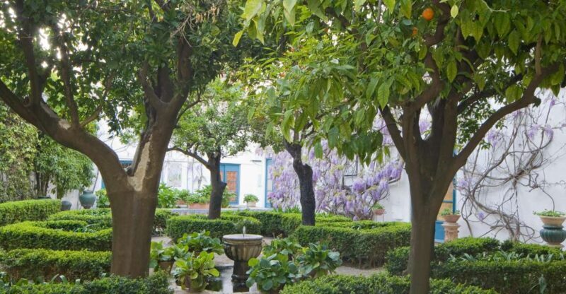 Córdoba: Viana Palace Gardens and Patios Entry Ticket - An Authentic Córdoba Experience: What You Can Expect