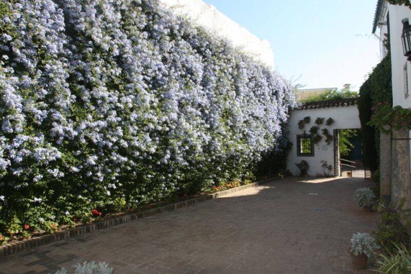 Córdoba: Viana Palace Gardens and Patios Entry Ticket - Practicalities and Tips for Visiting