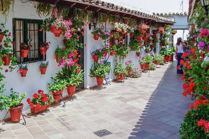 Cordoba's Authentic Patios: 2-Hour Tour with Tickets - How Does the Tour Provide Value?