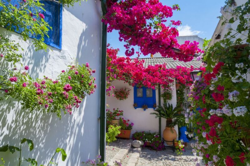 Cordoba's Authentic Patios: 2-Hour Tour with Tickets - Key Points