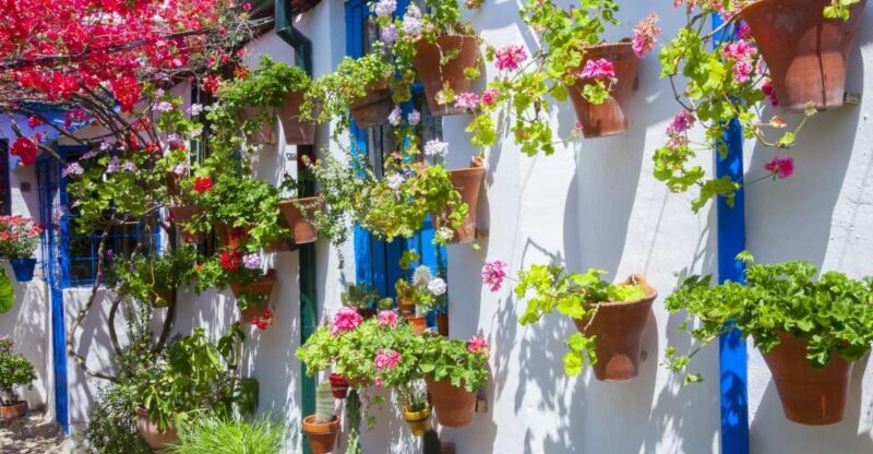 Cordoba's Authentic Patios: 2-Hour Tour with Tickets - A Deep Dive into the Experience