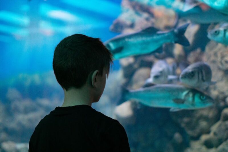 Corfu: Aquarium Entry Ticket with Guided Tour - Exploring the Corfu Aquarium Experience in Depth