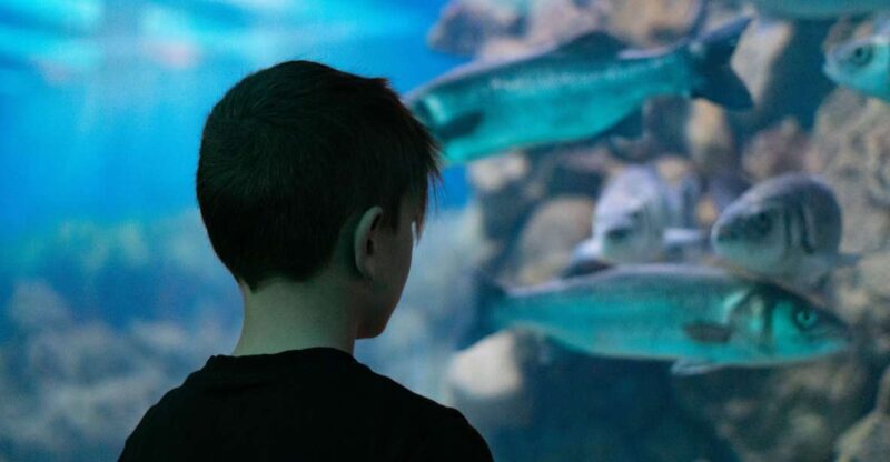 Corfu: Aquarium Entry Ticket with Guided Tour - Who This Tour Is Best For