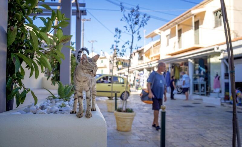 Corfu: Bus Trip & Swim at Canal d'Amour, Kassiopi, & Barbati - Practical Tips for Travelers