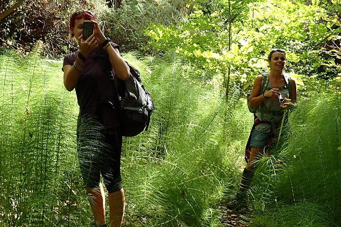 Corfu Countryside Hiking Tour - Exploring Corfu on Foot: The Heart of the Tour